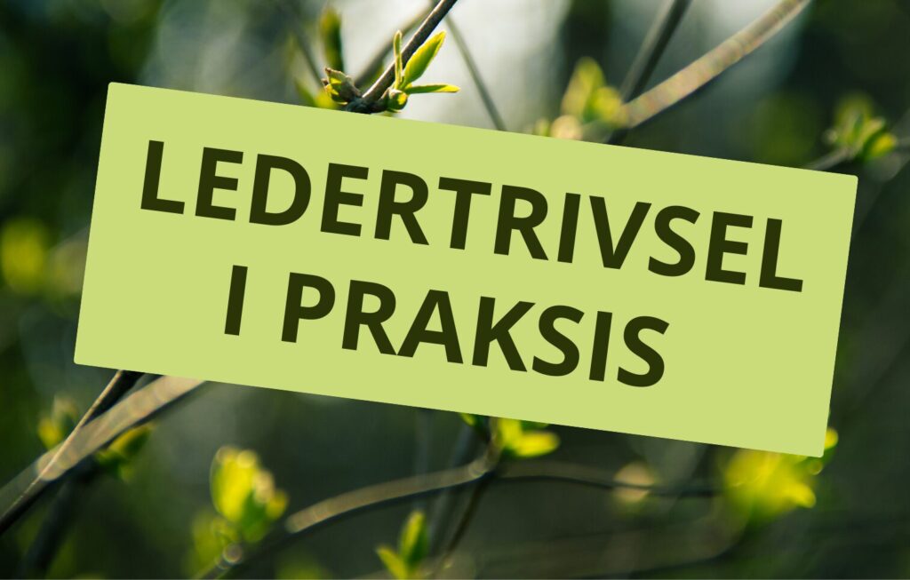 Styrk din ledertrivsel